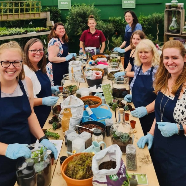 Perrywood Garden Centre Tickets, Products, Bundles, Gift Vouchers - Buy ...