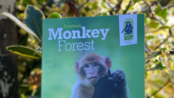 Buy Monkey Forest Map & Guide Tickets online - Monkey Forest