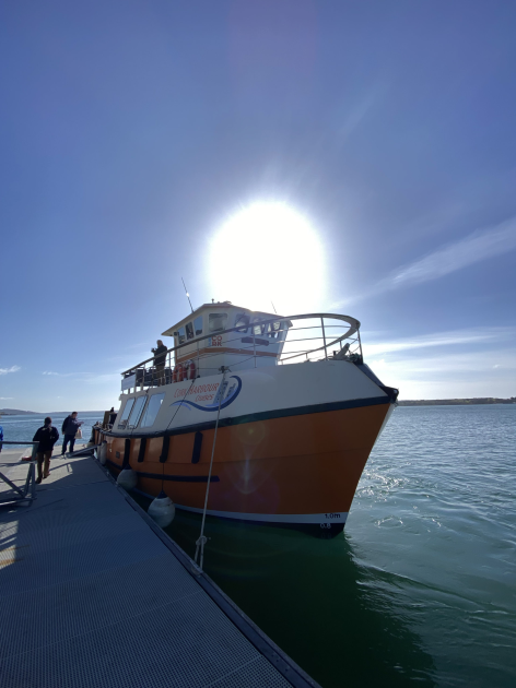 Buy Gift Vouchers Tickets online - Cork Harbour Cruises