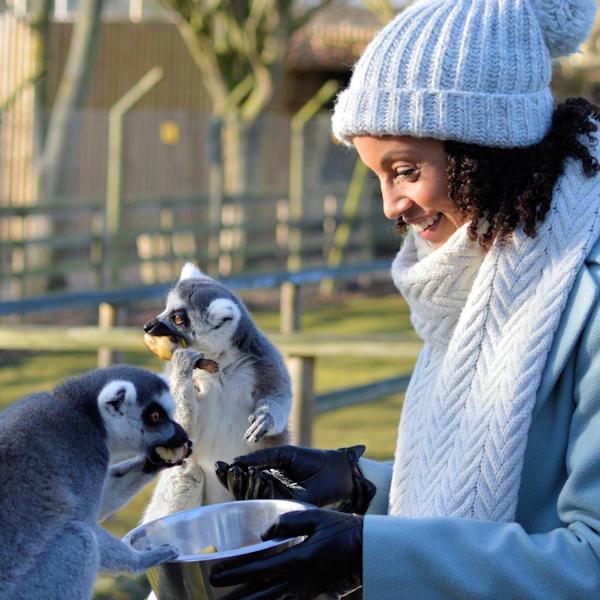 Buy WWP - Animal Experience Vouchers Tickets online - Wingham Wildlife Park