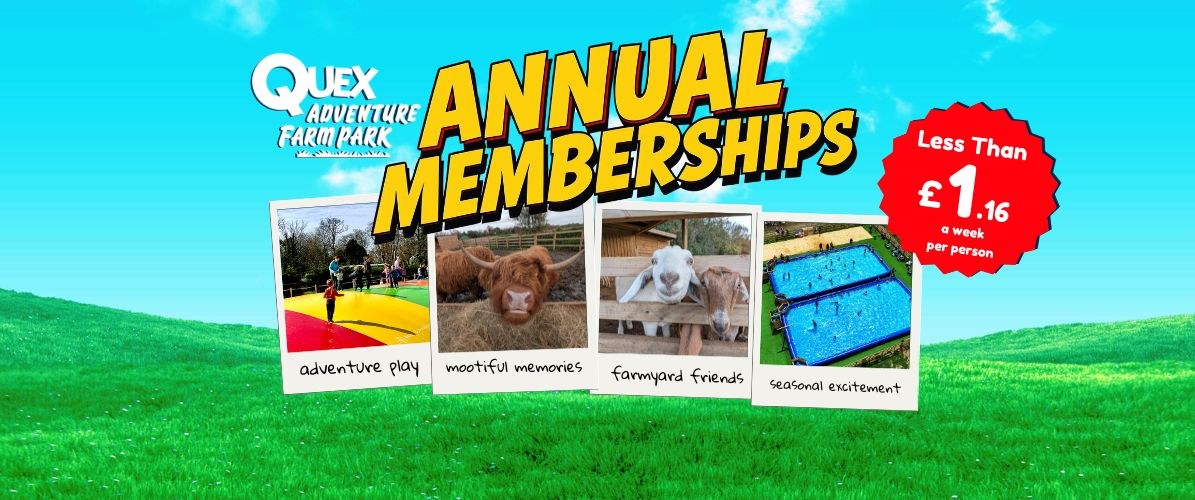 Quex Adventure Farm Park Tickets, Products, Bundles, Membership Plans ...