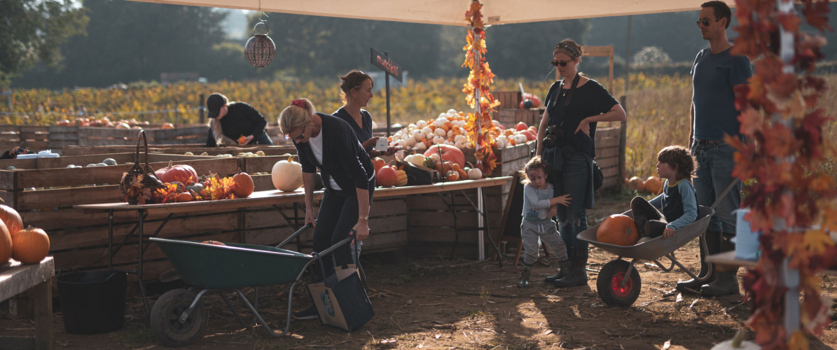 Rogate Pumpkin Patch Tickets - Buy Online