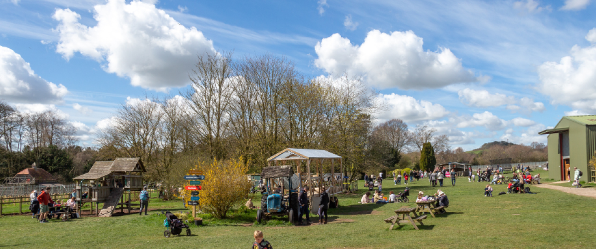 Cholderton Rare Breeds Farm Tickets, Gift Vouchers - Buy Online
