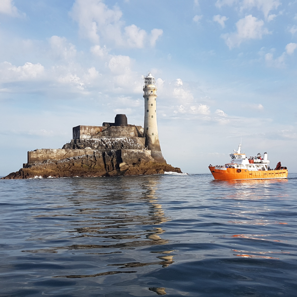 Buy Day Tours From Schull To Fastnet Rock (Including a stop over on ...