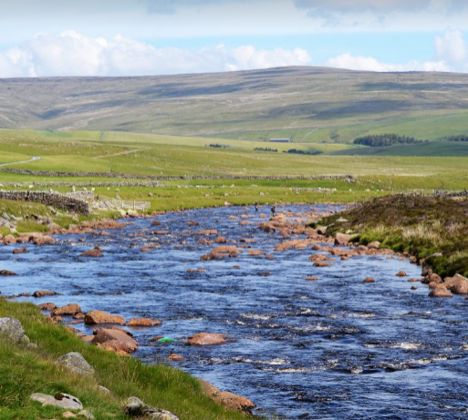 Buy River Tees Fishing Permits Tickets online - Raby Estates