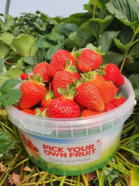 Buy Gift Vouchers Tickets online - Manor Farm Fruits