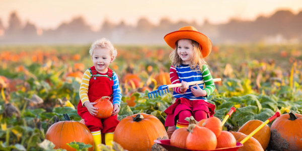 Streamvale Open Farm Tickets, Products, Membership Plans, Gift Vouchers ...