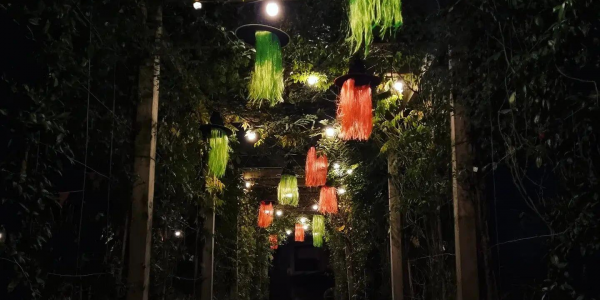 Clonfert Pet Farm Tickets, Membership Plans, Gift Vouchers - Buy Online