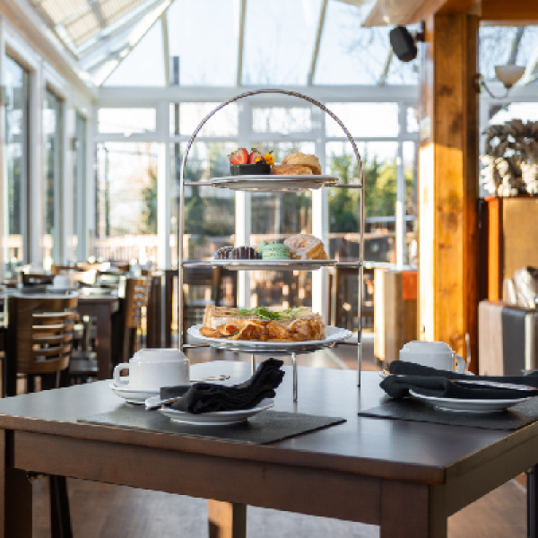 The Big Cat Sanctuary Tickets, Products, Bundles, Membership Plans ...