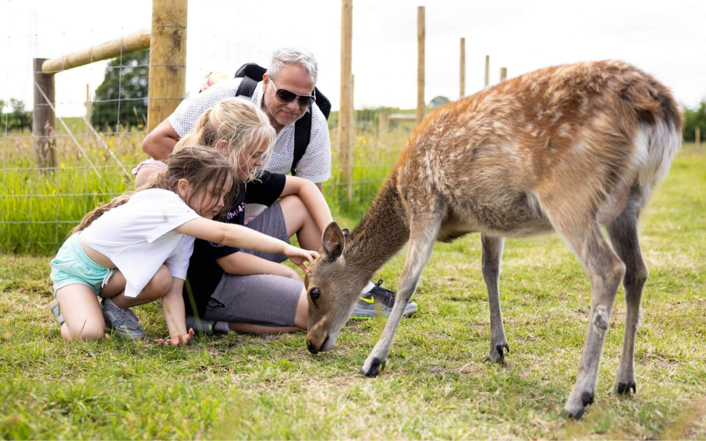 Buy Animal Experiences Tickets online - Hogshaw Farm & Wildlife Park