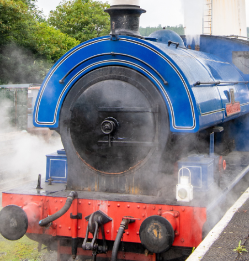 Buy Steam Train Travel with Fish & Chips (South Wales) Tickets online ...