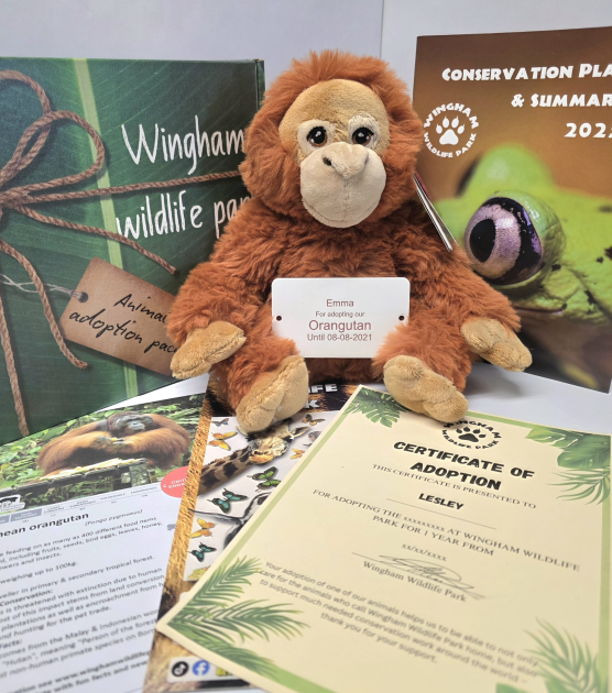 Buy WWP - Animal Adoption Gift Boxes Tickets online - Wingham Wildlife Park