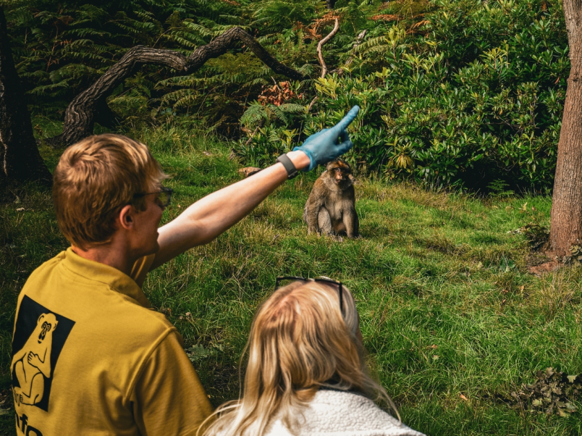 Buy Morning with Monkeys - VIP Experience Tickets online - Monkey Forest