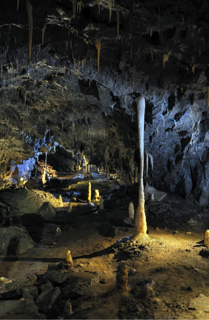 Buy Discovery Day Caves, Fossils and Geode Tickets online - Stump Cross