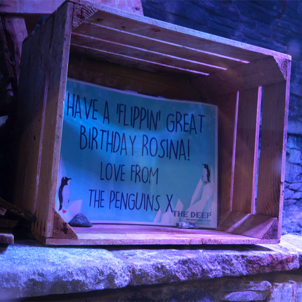 The Deep Tickets, Products - Buy Online