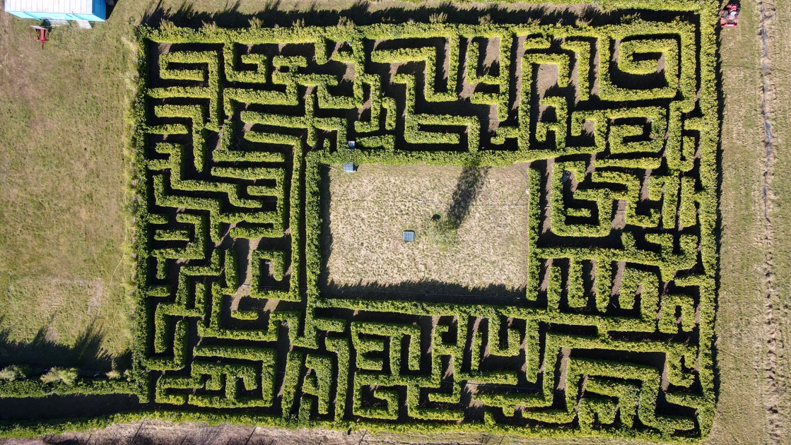 Buy Jungle trail maze Tickets online - Plants Galore