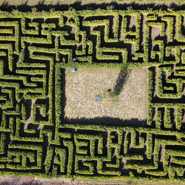 Plants Galore Tickets - Buy Online