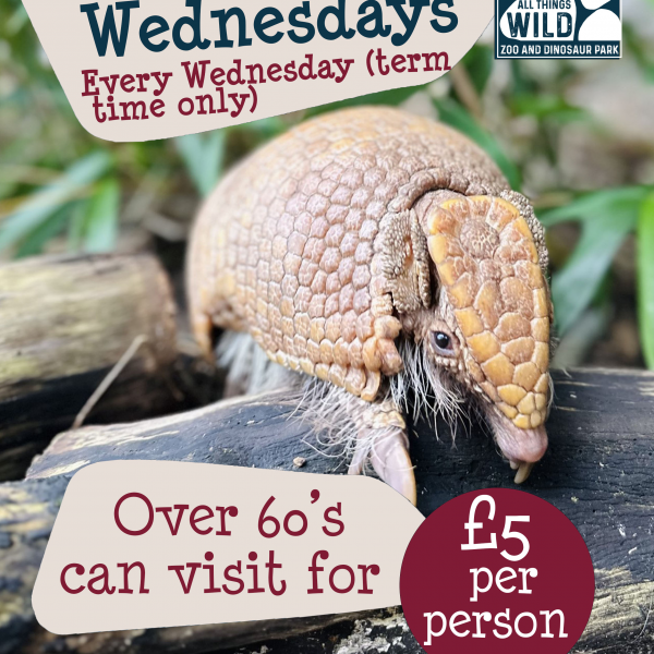 All Things Wild Tickets, Products, Bundles, Membership Plans, Gift ...