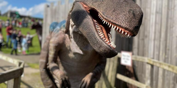 Adventure Valley Tickets, Products, Membership Plans, Gift Vouchers ...