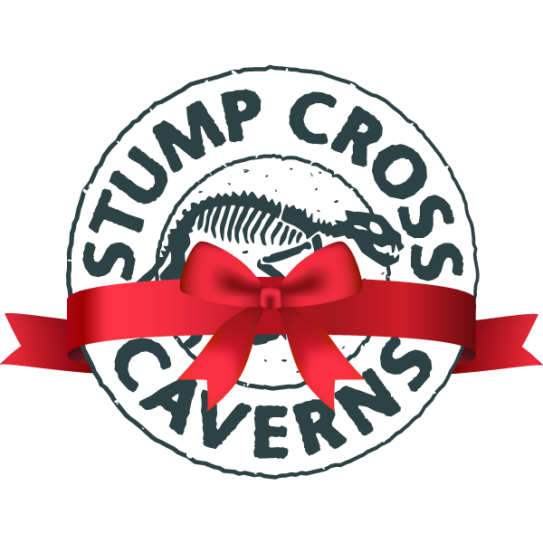 Stump Cross Tickets, Products, Bundles, Membership Plans, Gift Vouchers ...