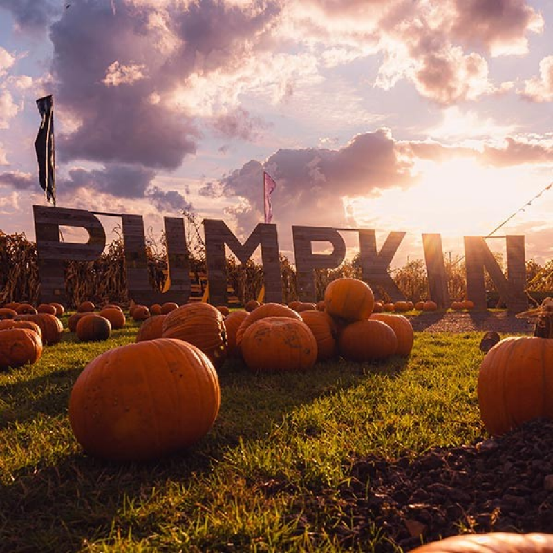 Lee Valley Animal Adventure Park Tickets, Products, Membership Plans ...