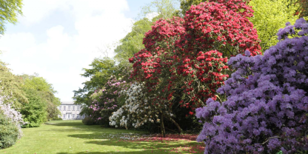 Trewithen House and Gardens Tickets, Membership Plans, Gift Vouchers ...