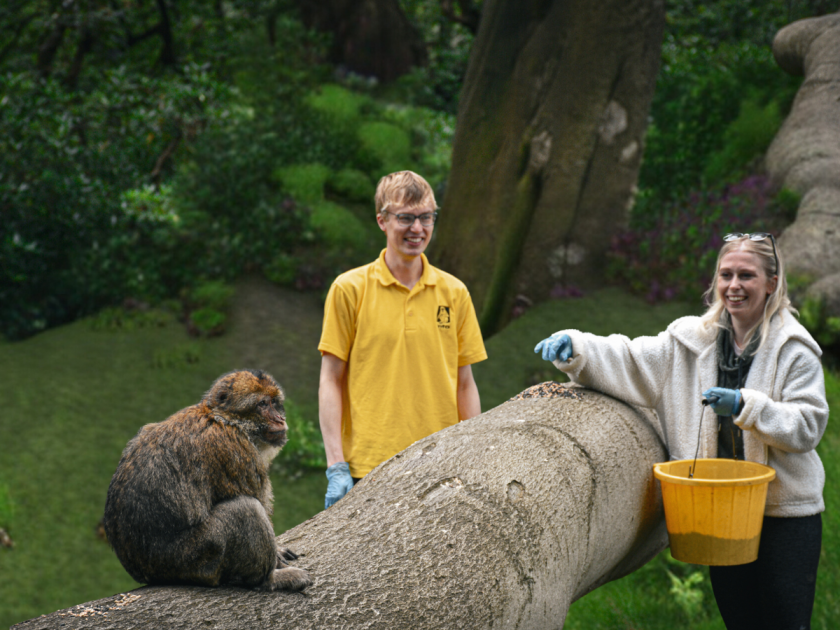 Buy Monkey Experiences Tickets online - Monkey Forest