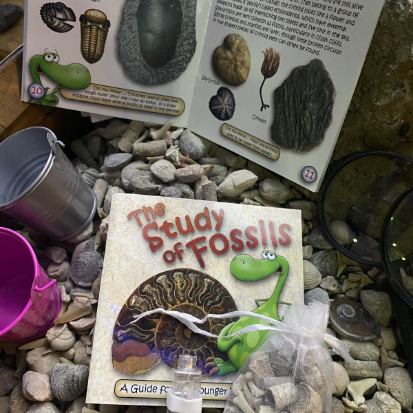 Stump Cross Tickets, Bundles - Buy Online