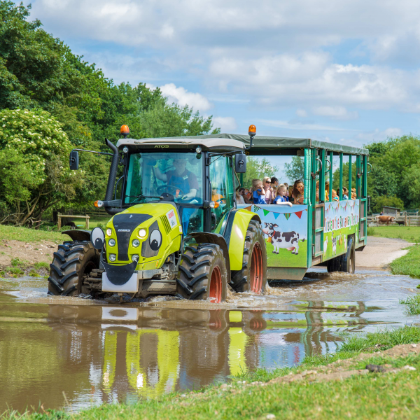 Willows Activity Farm Tickets, Products, Bundles, Membership Plans ...