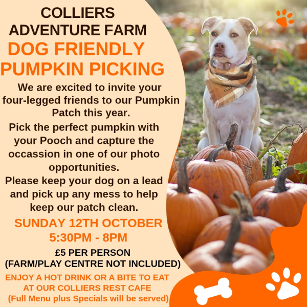 Colliers Farm Tickets, Products, Bundles, Gift Vouchers - Buy Online