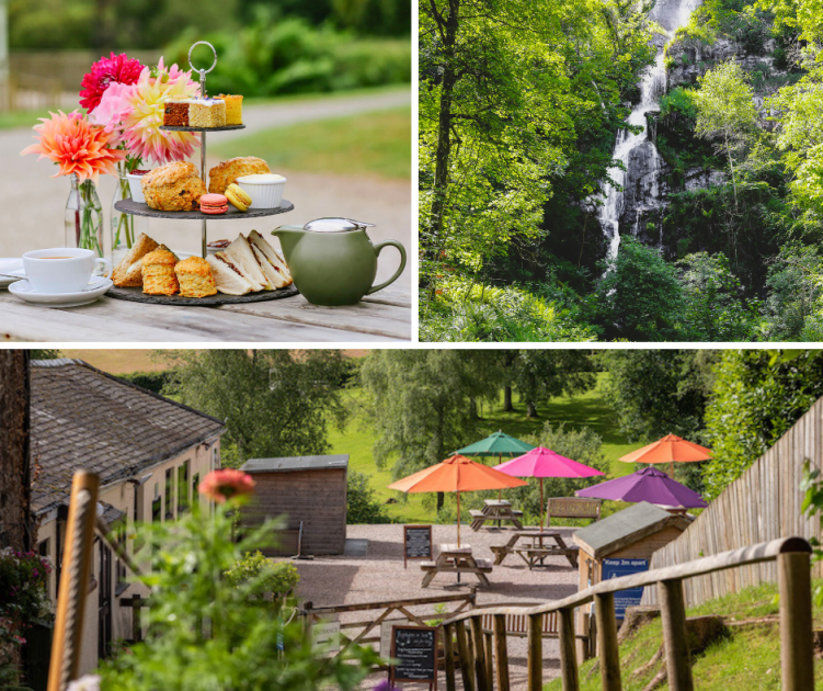 Buy Experience Tickets Tickets online - Canonteign Falls