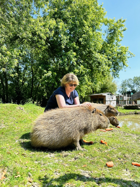 Buy Animal Experiences Tickets online - All Things Wild