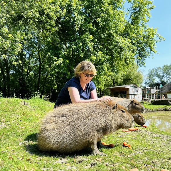 All Things Wild Tickets, Products, Bundles, Membership Plans, Gift ...