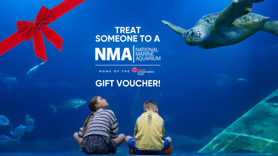 Buy Gift Vouchers Tickets online - Ocean Conservation Trust