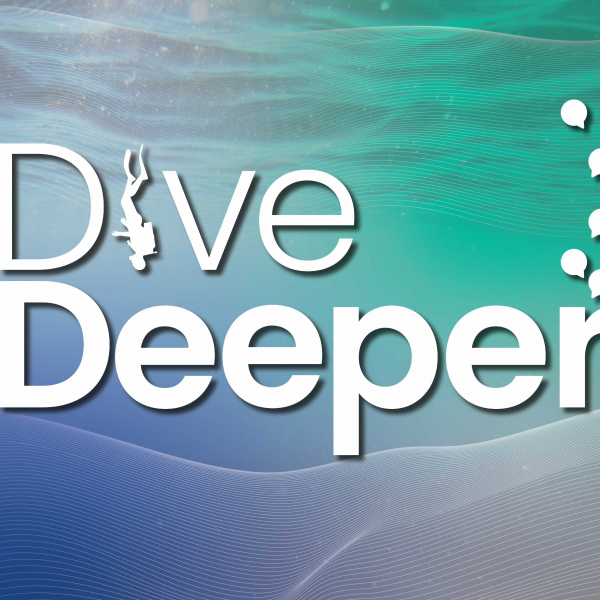 The Deep Tickets, Products - Buy Online