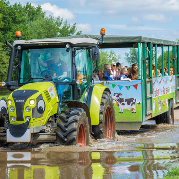 Willows Activity Farm Tickets, Products, Bundles, Membership Plans ...