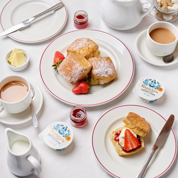 East Somerset Railway Tickets, Products, Membership Plans, Gift ...