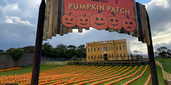 Mountpanther Farm Park Tickets, Membership Plans, Gift Vouchers - Buy ...