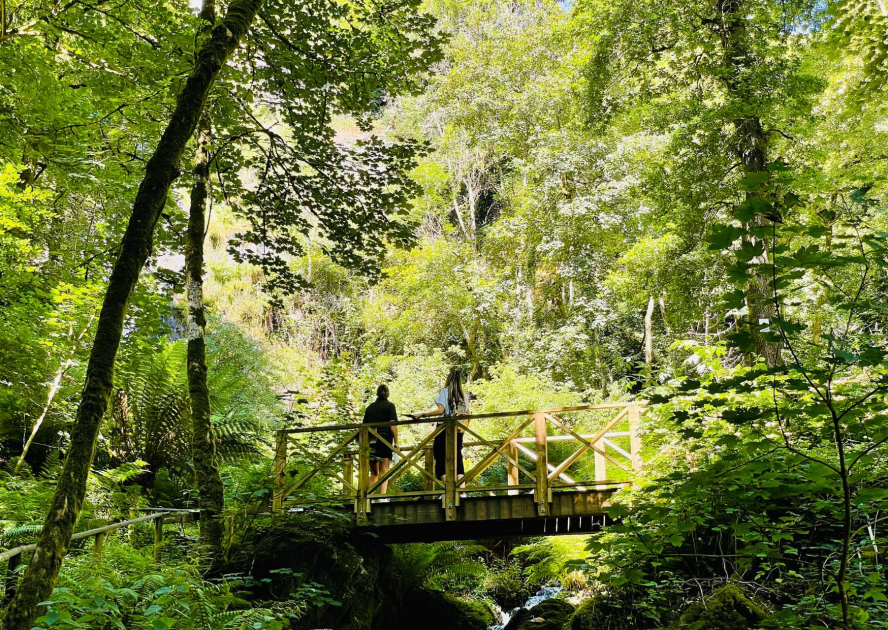 Buy FREE Return Visit ( Valid with every FULL PRICE ADMISSION until Nov ...