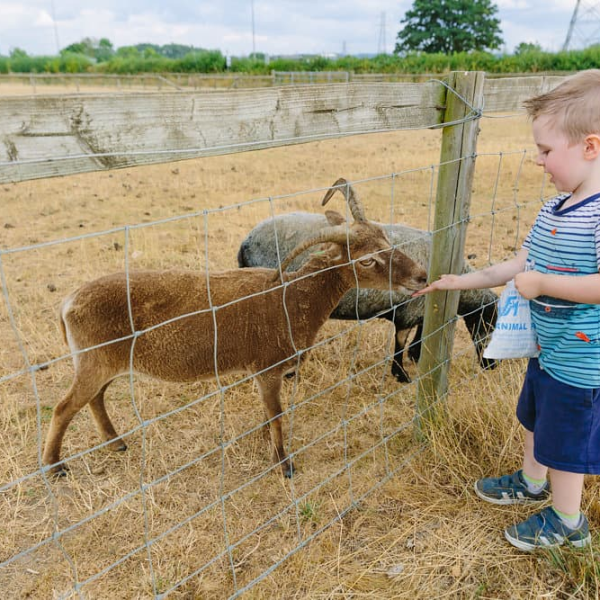 Over Farm Tickets, Products, Bundles, Membership Plans, Gift Vouchers ...