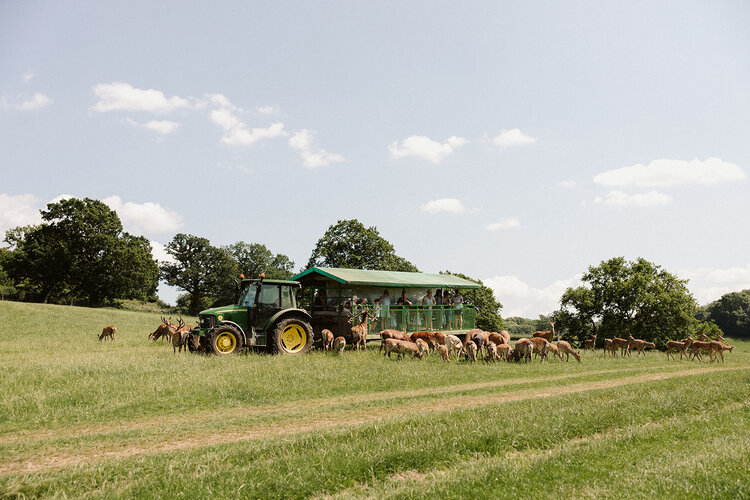 Buy Events at The Farm Tickets online - Bucklebury Farm