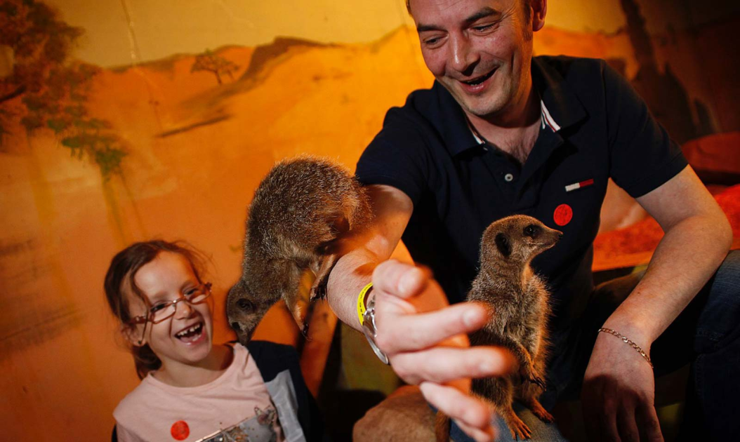 Buy Experience Gift Vouchers Tickets online - Hoo Zoo and Dinosaur World