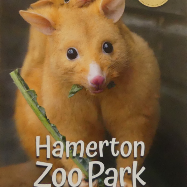 Hamerton Zoo Park Tickets, Products, Membership Plans, Gift Vouchers ...