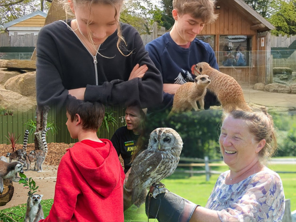 Buy Experiences Tickets online - Knockhatch Adventure Park