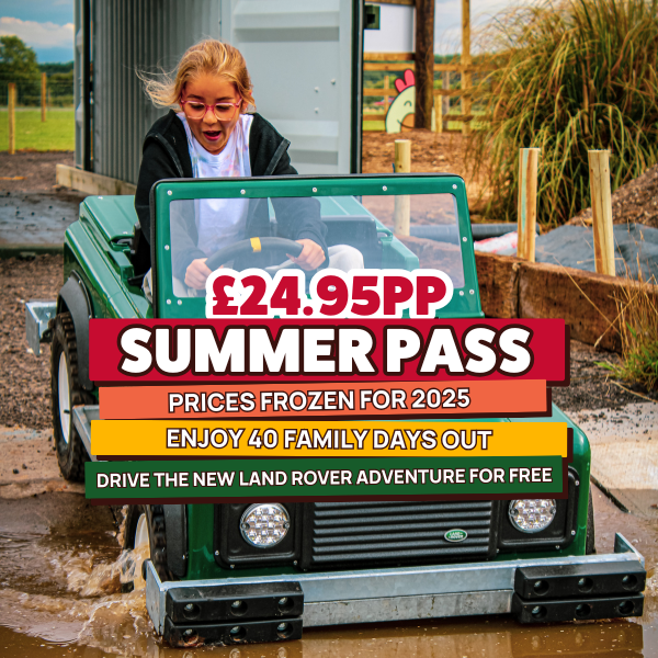 Buy 2025 Summer Pass Tickets online - Rand Farm Park