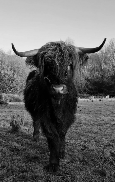 Buy School, Nursery & Group Bookings Tickets online - Standalone Farm