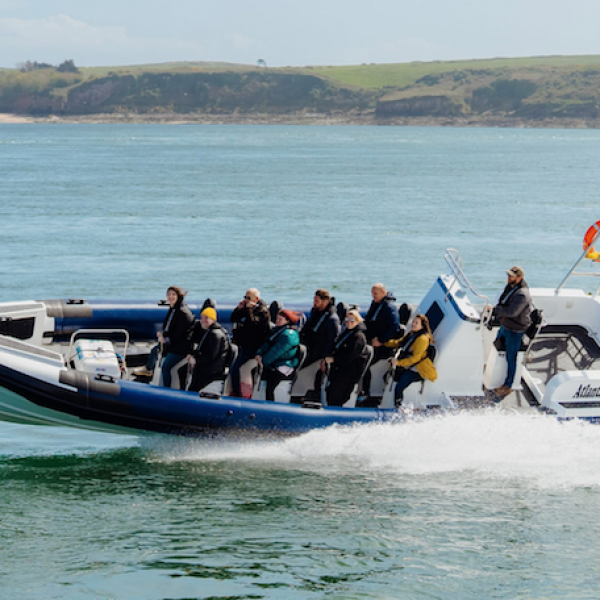 Tenby Boat Trips Tickets - Buy Online