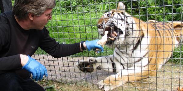 Linton Zoo Conservation Park Tickets, Products, Membership Plans, Gift ...