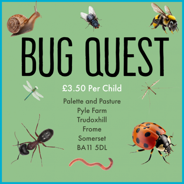 Buy Bug Quest Tickets online - Palette and Pasture