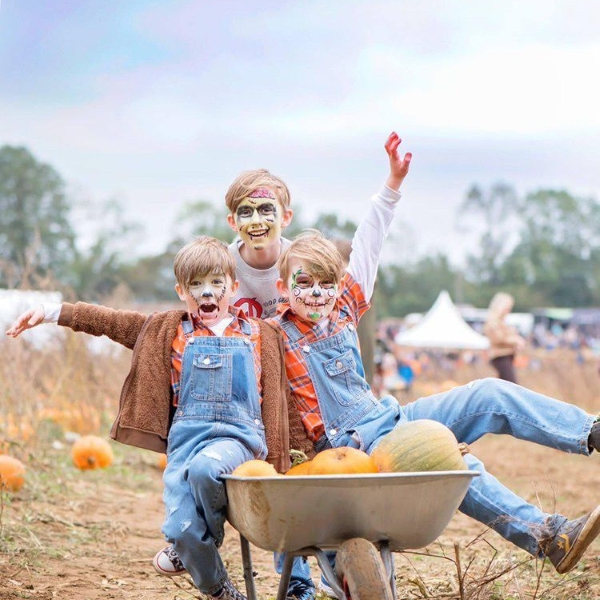 Rogate Pumpkin Patch Tickets - Buy Online